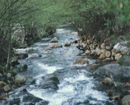 El blog de Richart : El murmullo del agua del rio