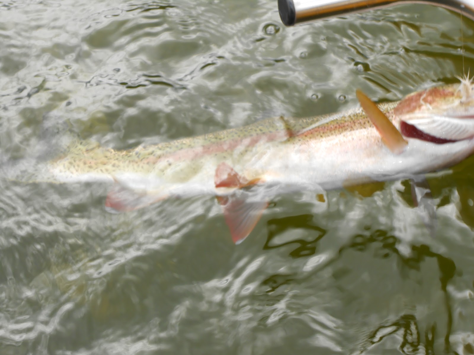 FLYGUY Creations: First time to Chopaka Lake