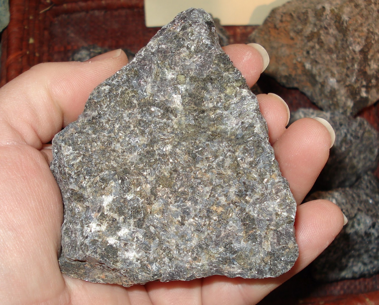 Indigo Gabbro in the rough. Buzzy. Buzzy. Buzzy.