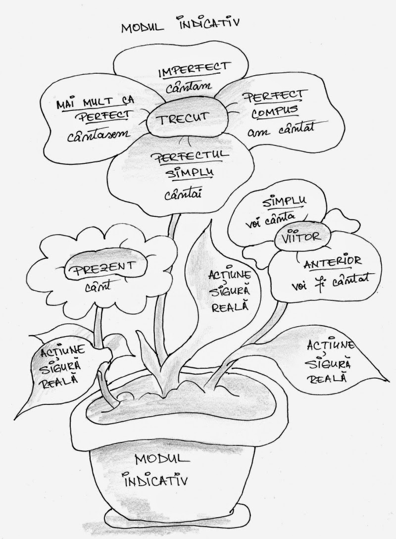 ora de română: Modul indicativ