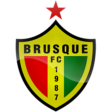 ESCUDOS DO MUNDO INTEIRO: SANTA CATARINA - TODOS OS CAMPEÕES