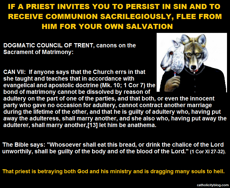 CATHOLICITYBLOG: Beware of the False Shepherds!