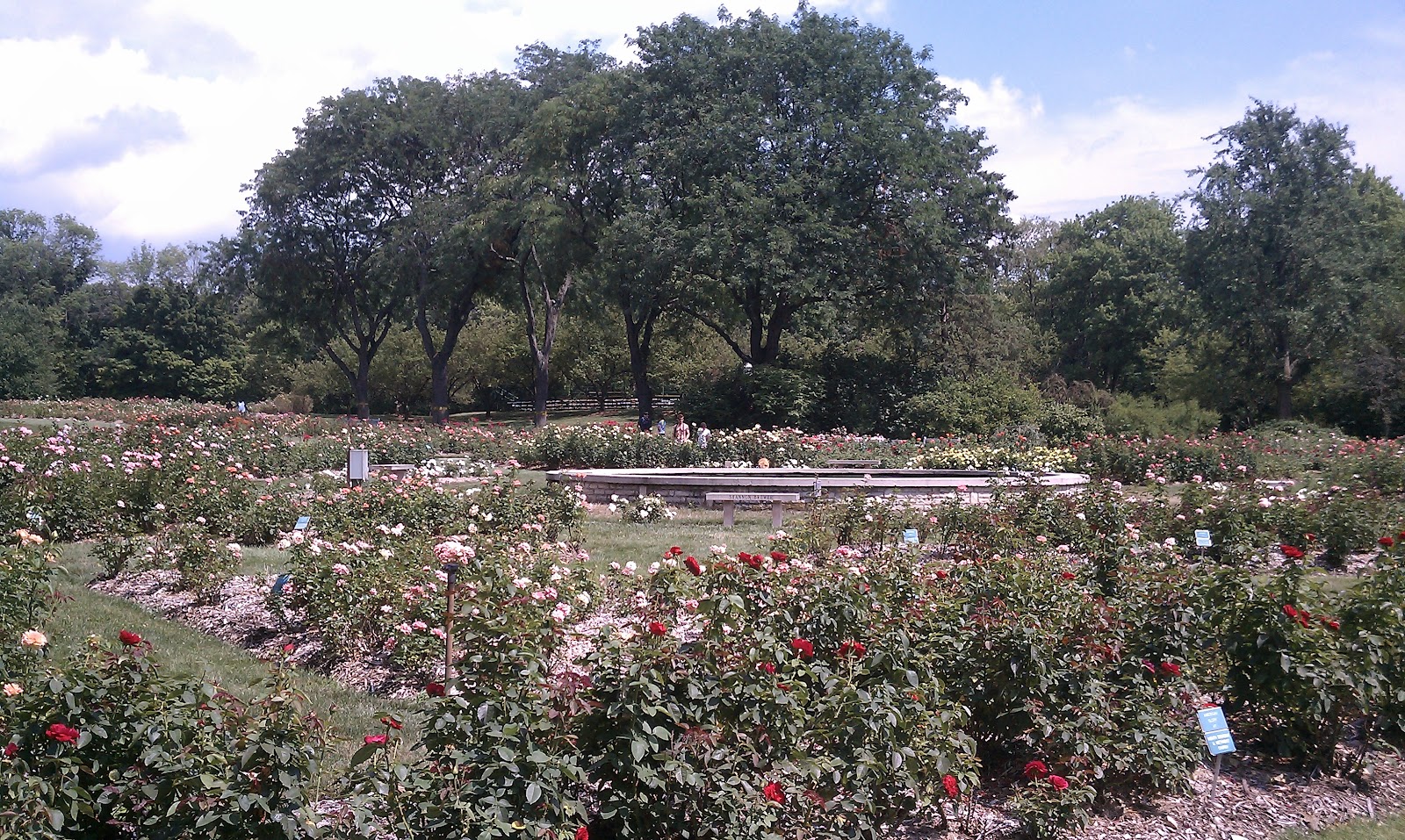 WILD ABOUT WORDS: Last Weekend in Columbus