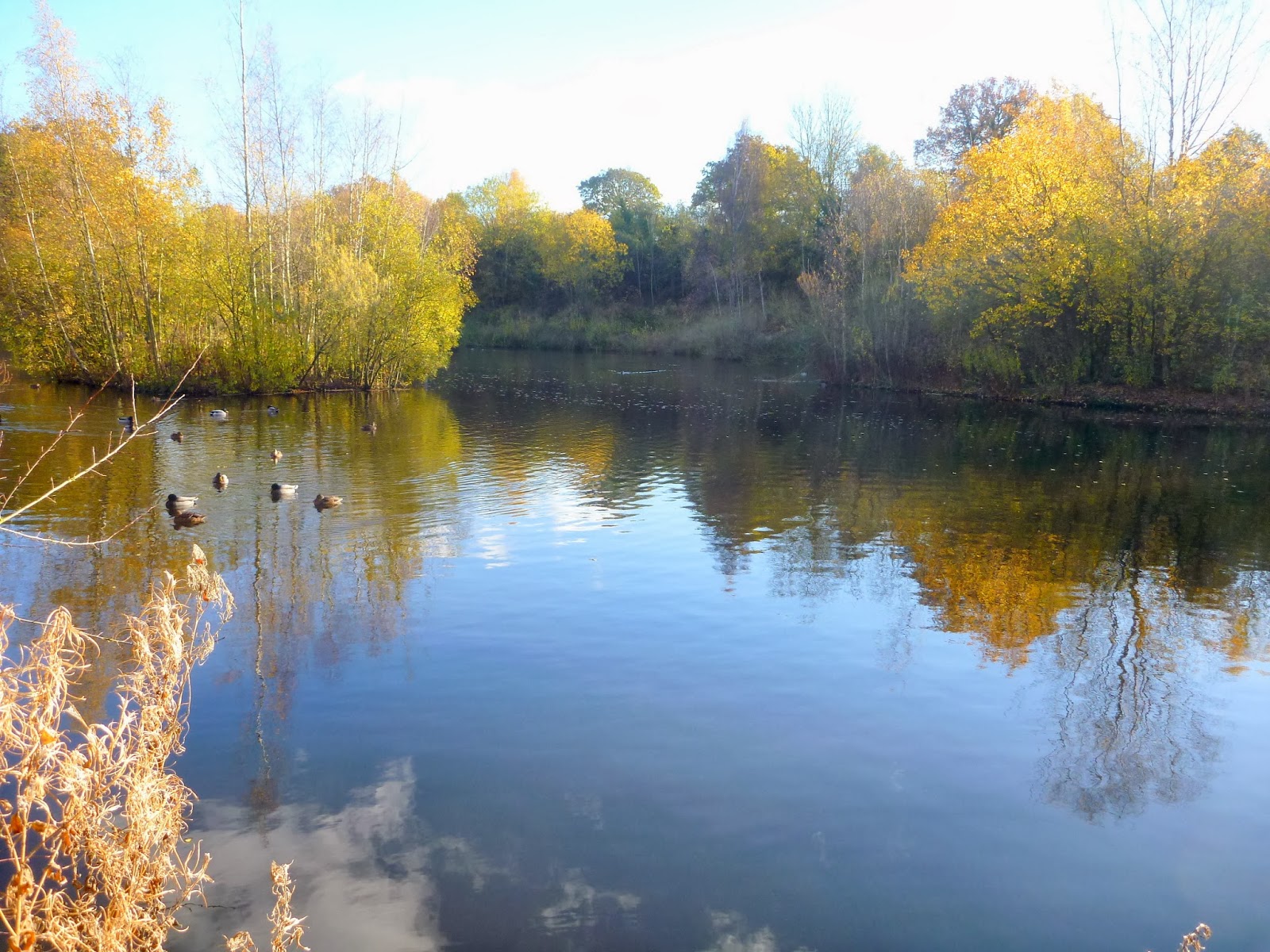 A Place Called Space: Ryton Pools Country Park
