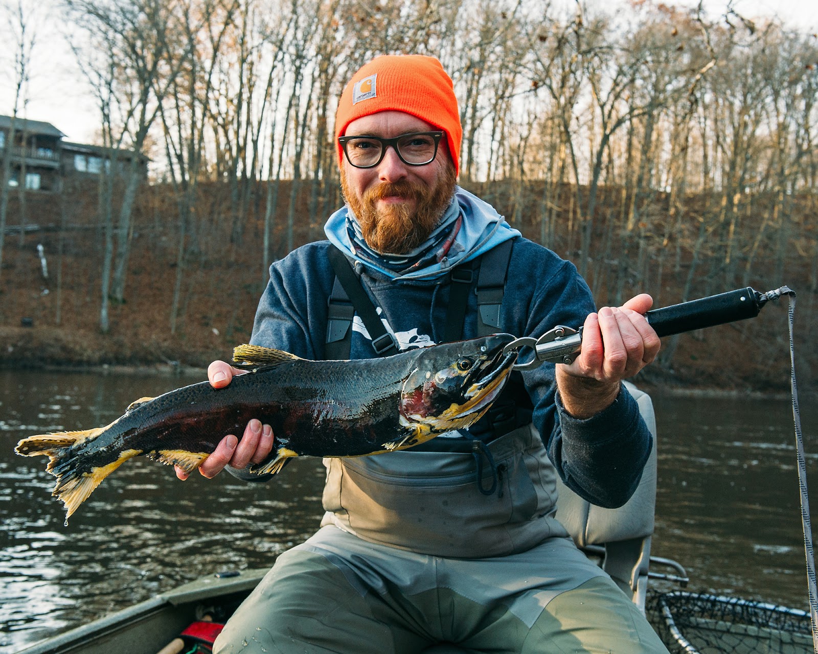 Andrew Potter Photo Blog: Michigan Coho Salmon