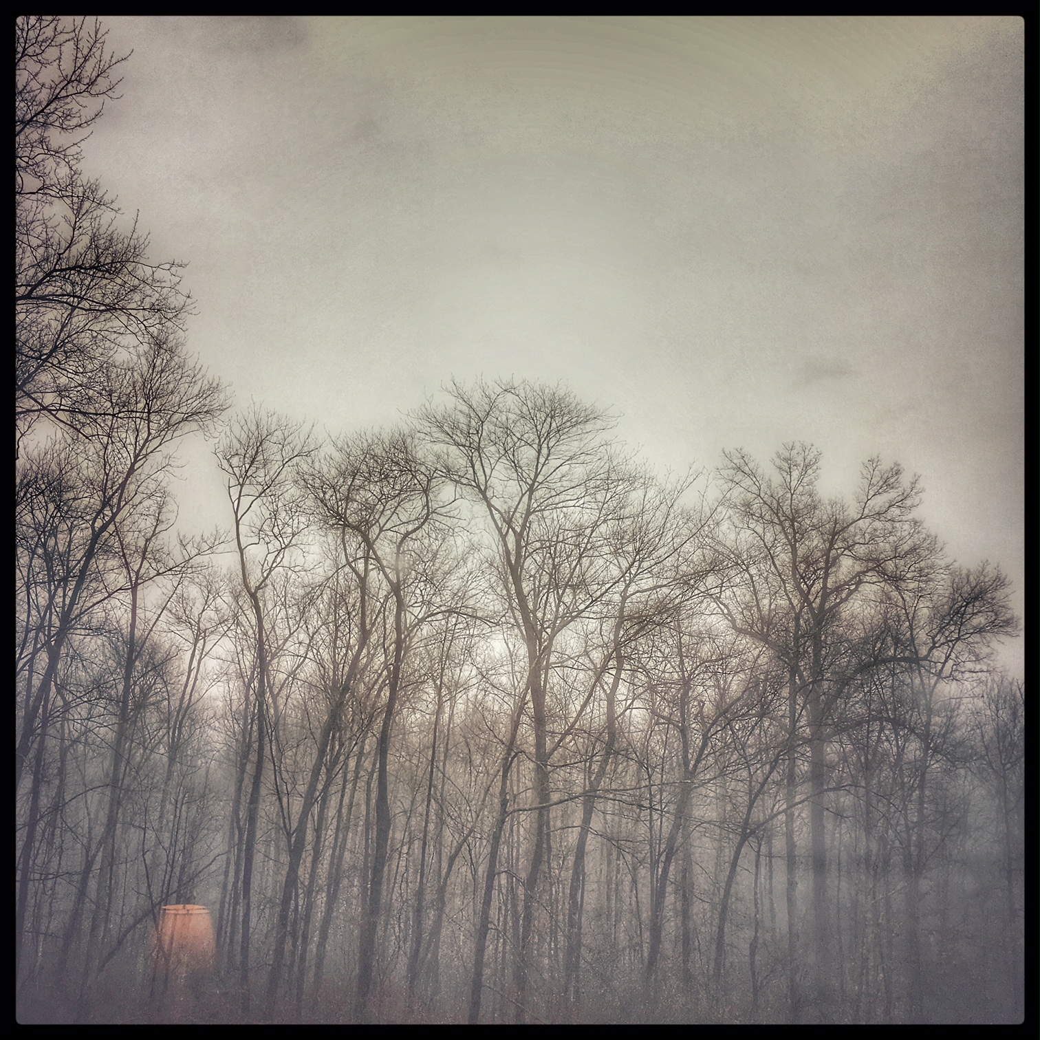 Content in a Cottage: Foggy Sunday Photo Edited w/ Snapseed