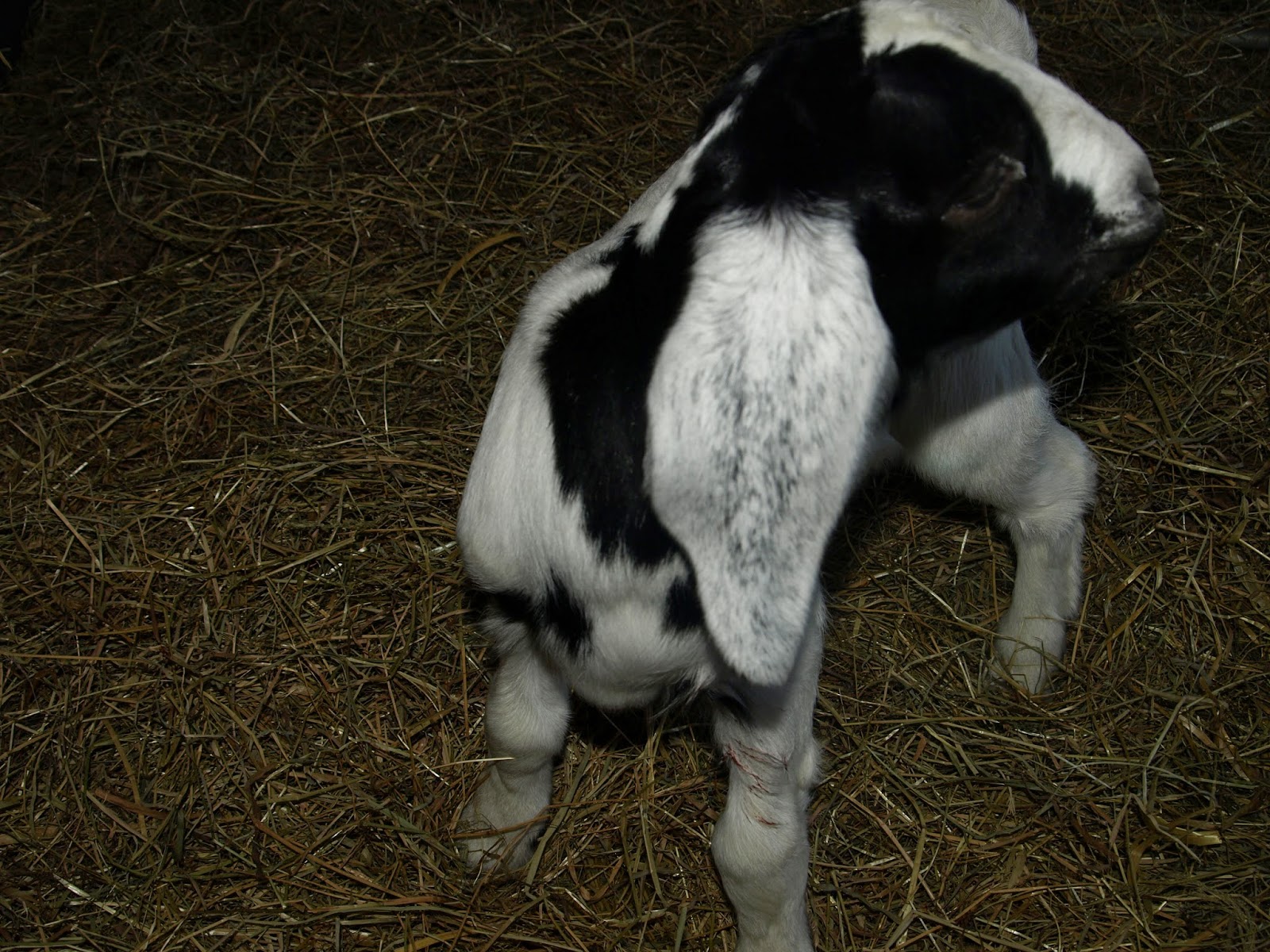 Bure Valley Farm