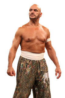 12 gru 2011 - WWEWynikigal