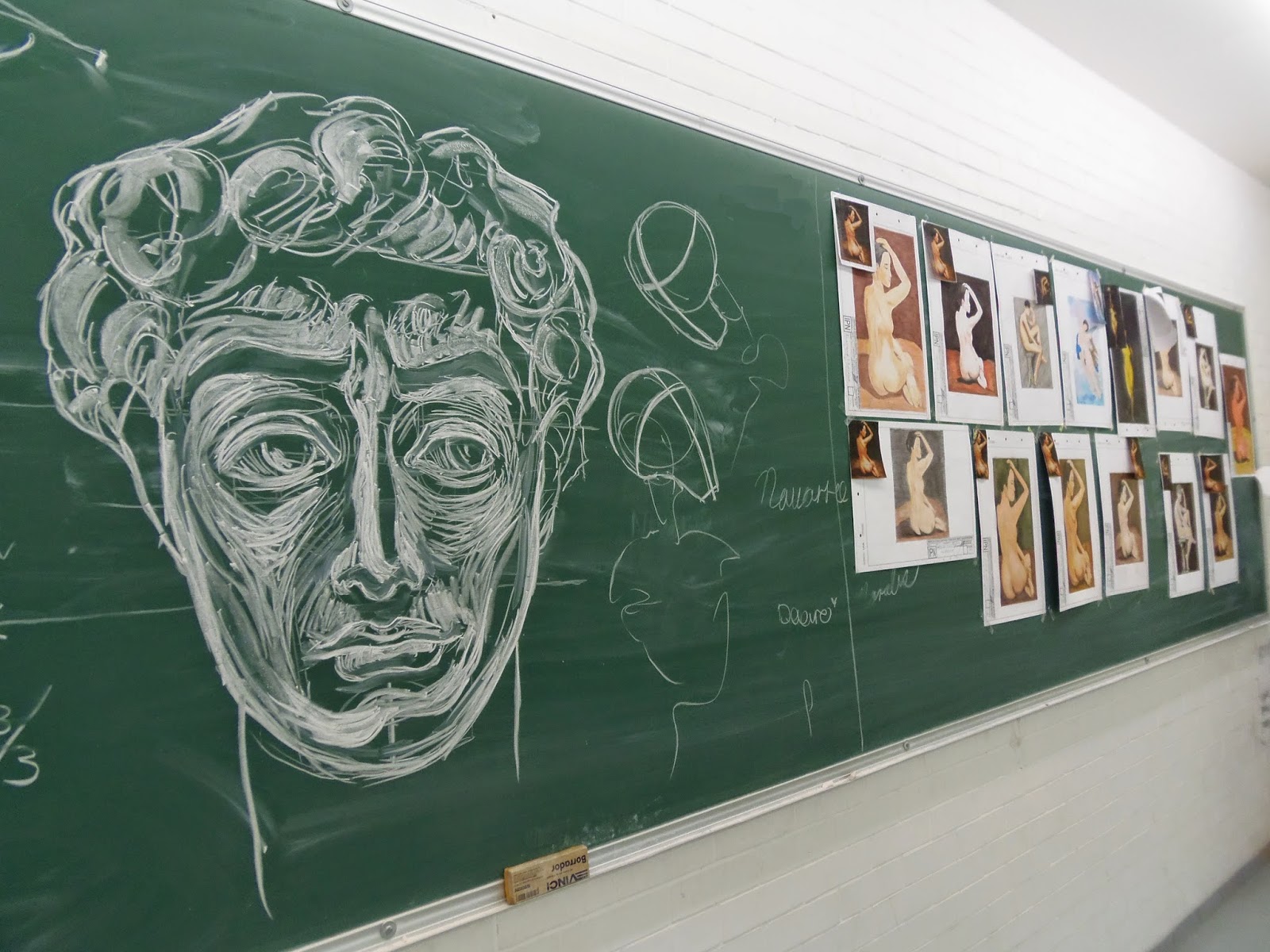 Dibujo Biológico: LÁMINA 11 ANATOMÍA DEL ROSTRO