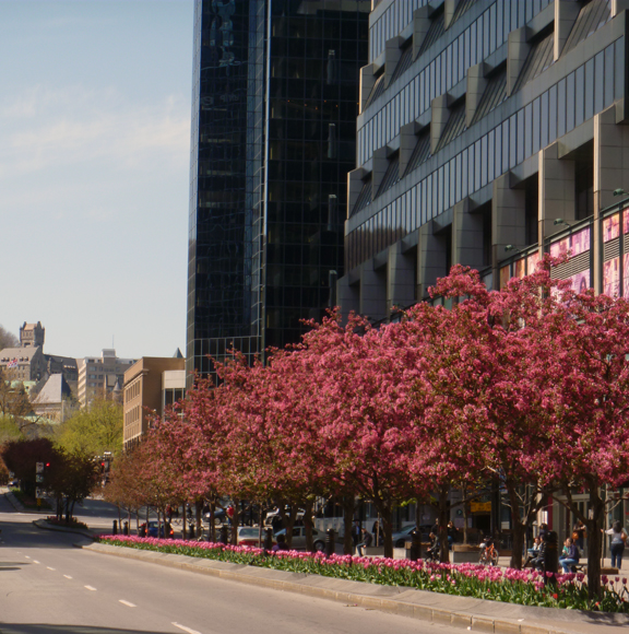 Tout sur Montréal: Le printemps à Montréal