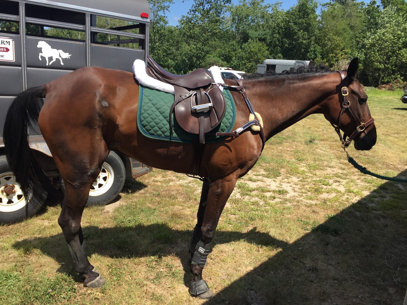 Hilltop Equestrian Center Horse Trials - August 6, 2017