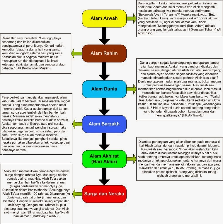 Perjalanan Manusia ~ Surat Muslim