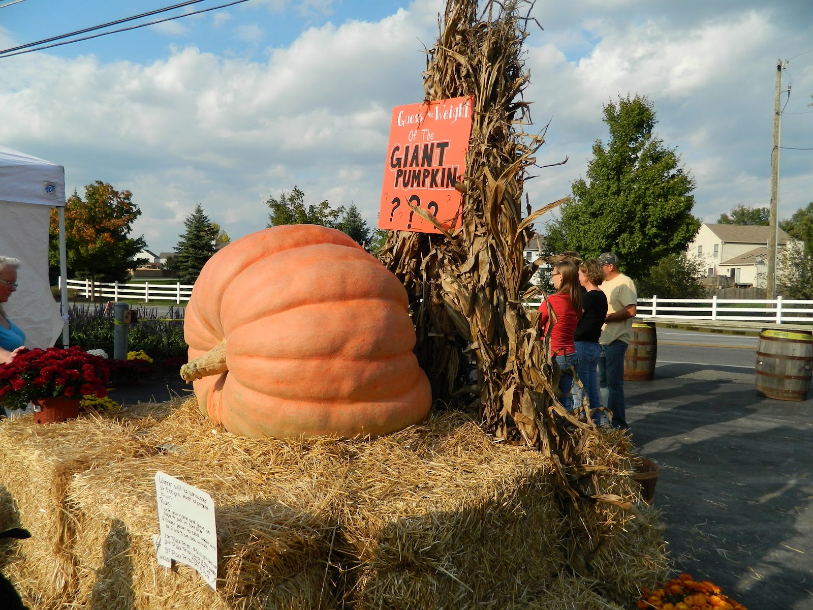 Smith Farm Market's Fall Festival - Columbus, Ohio