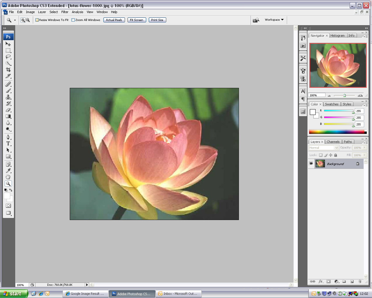 MEDIA FAN!: Photoshop: Grabbing screenshots for screen printing