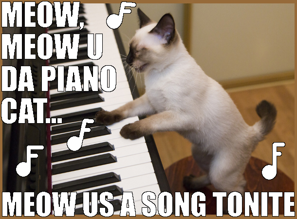 Great Cats Be Funny BLOG