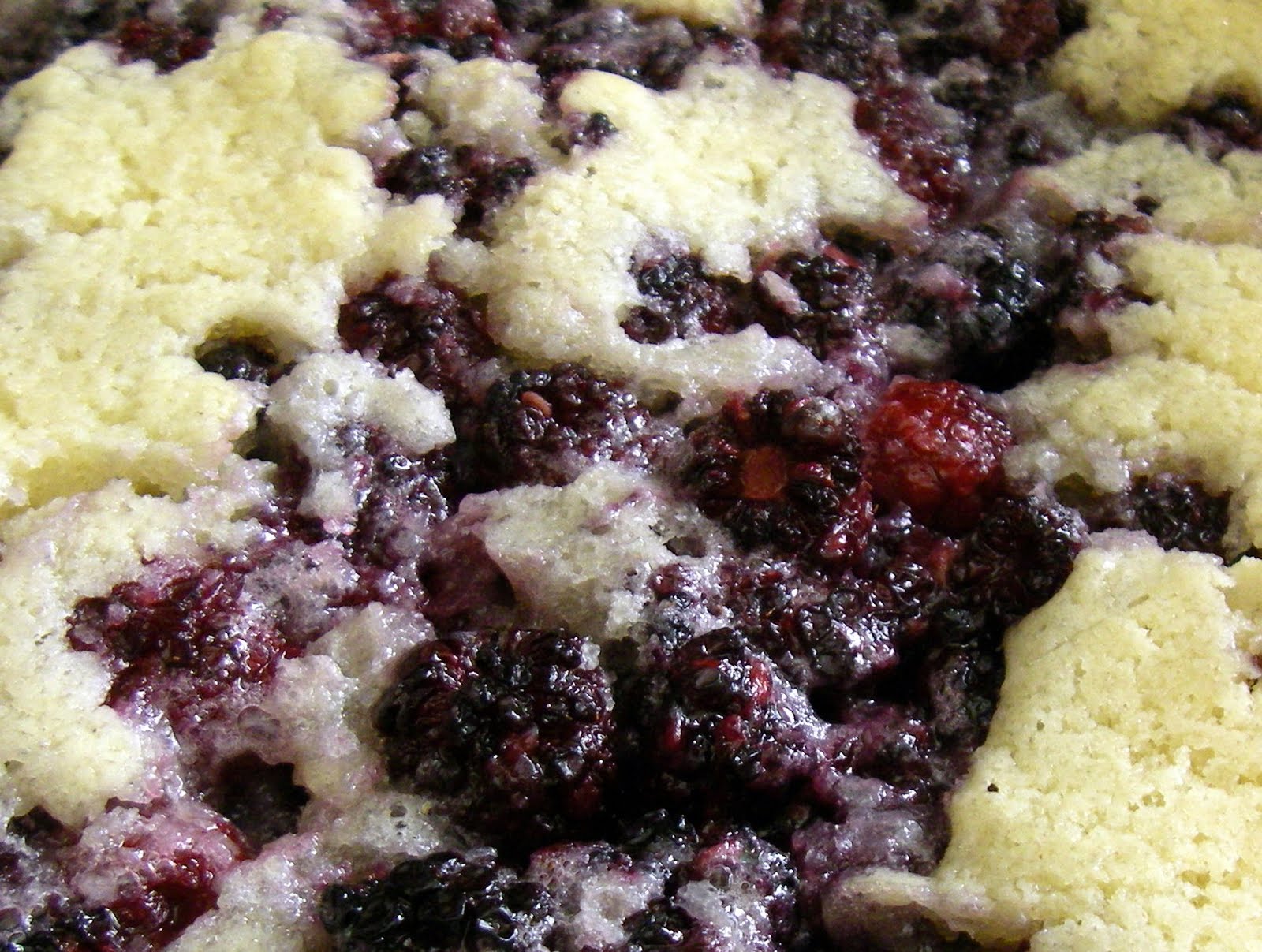 Dewberry cobbler