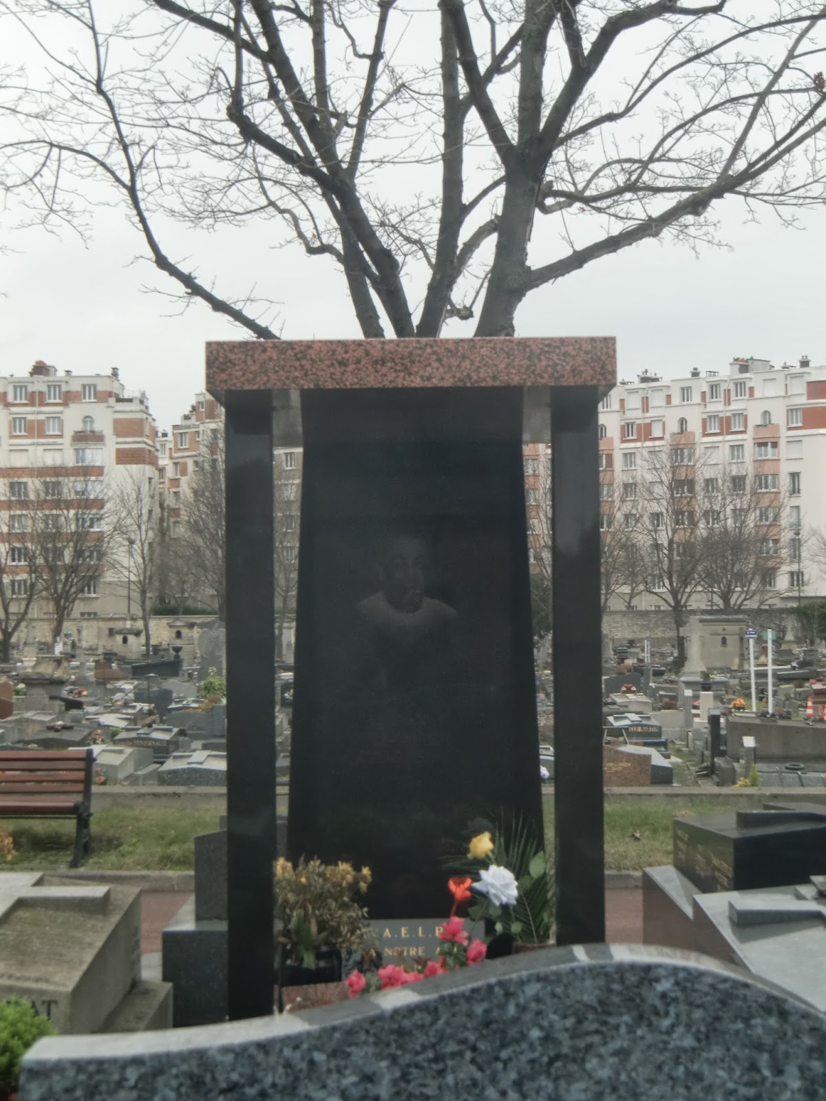 Promenade d'une fleur urbaine: En (re)visitant Coluche...