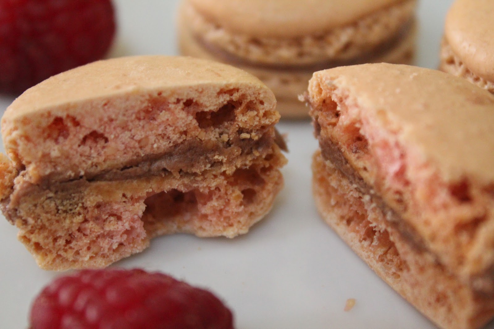 Sugaropia: The Macrons