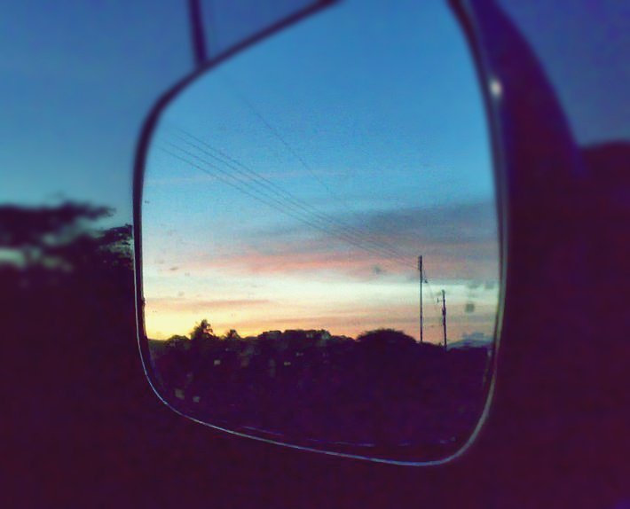 Las insólitas metáforas del bachaco rojo