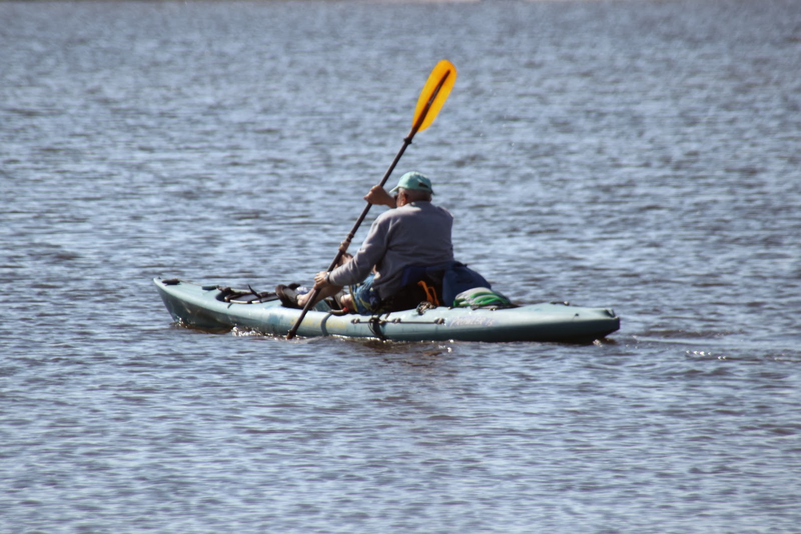Beth's Blog: In Search of the Avocet -- Another Excuse to Head down to ...
