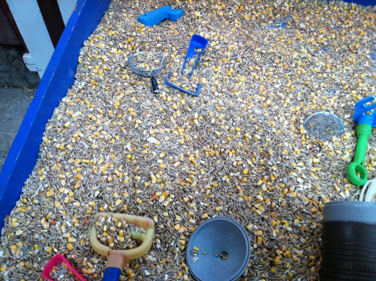 Kindergarten Kiosk: Fall and Harvest Thematic Units