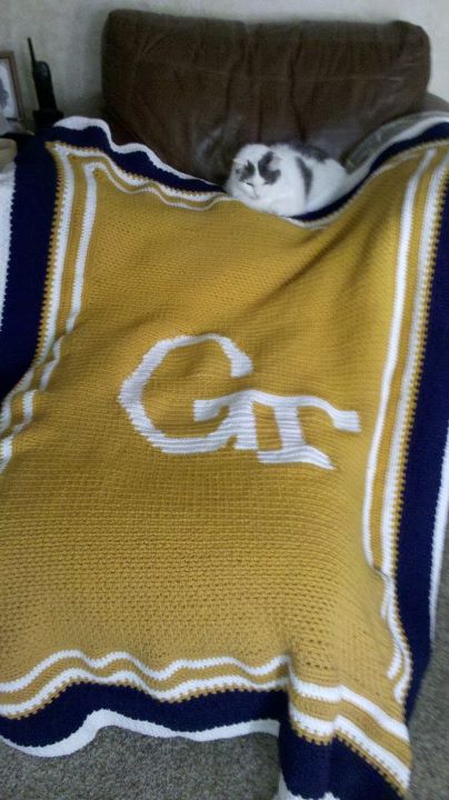 Gina's Projects: ASU crochet afghan project