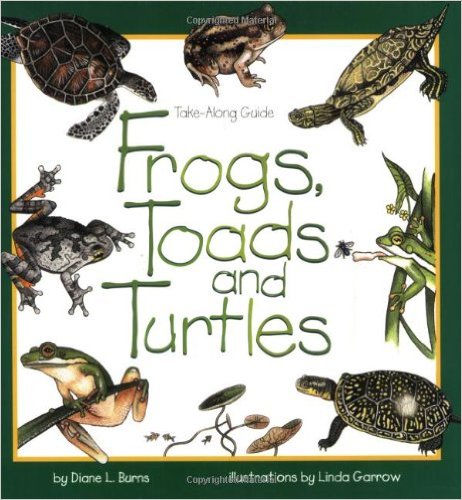 Children's Books about Frogs and Toads - Every Star Is Different