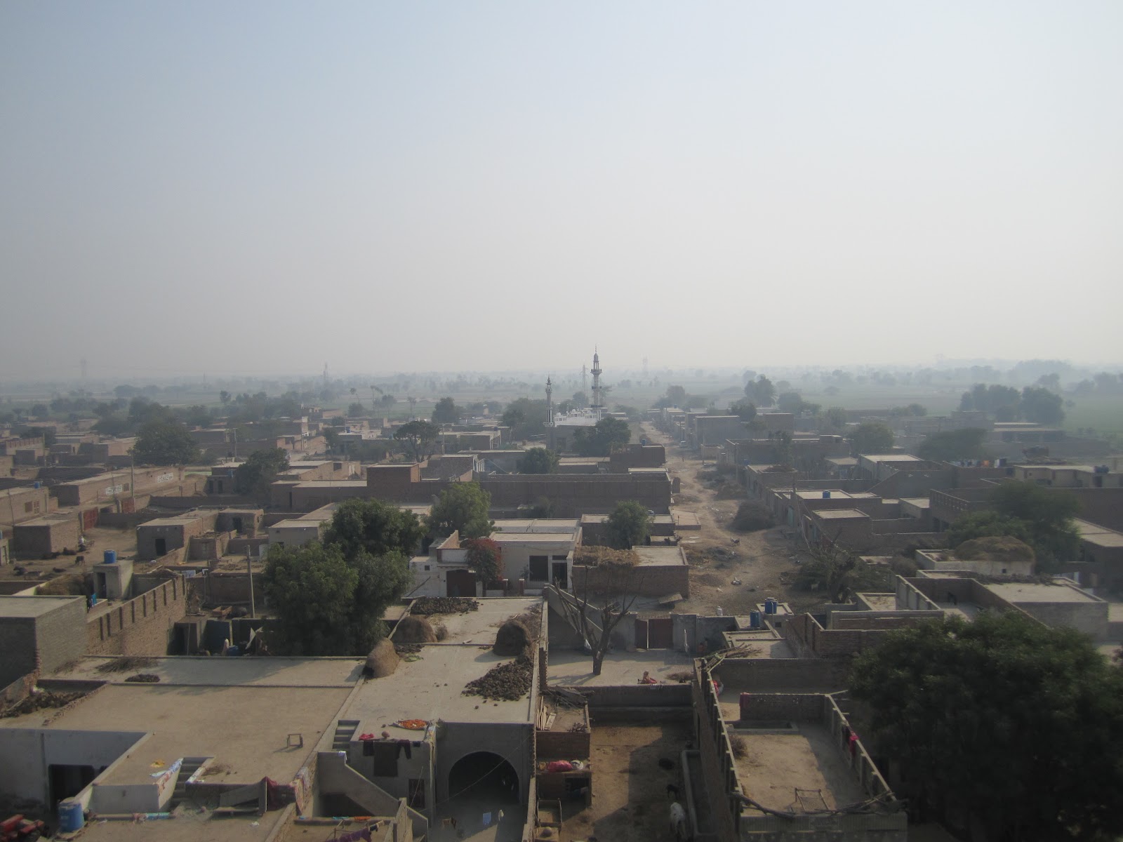 Welcome To Pirmahal City: Chak 667/8 GB, Pir Mahal, Punjab, Pakistan