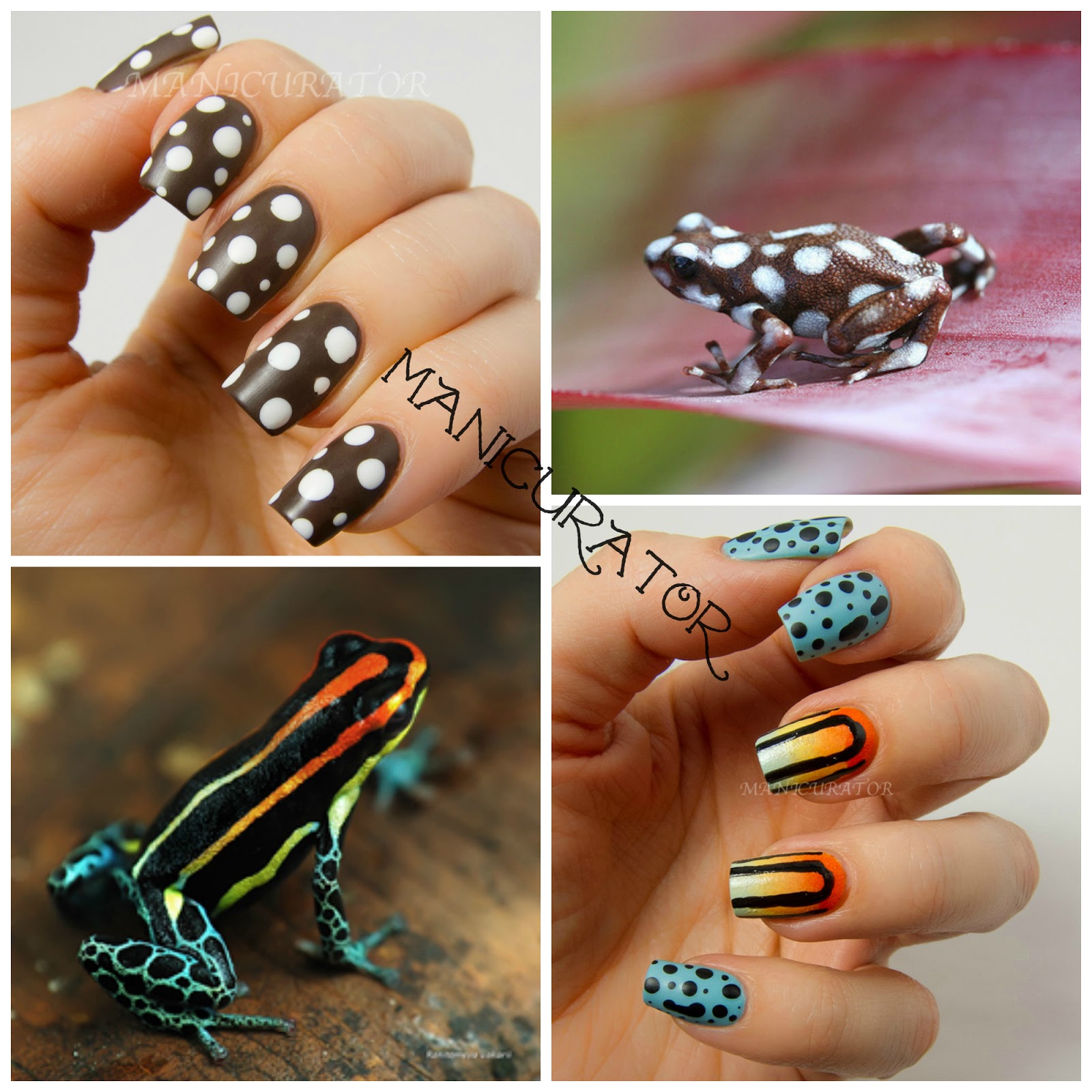 Marañón Poison Frog Nail Art - Digit-al Dozen Animal Week