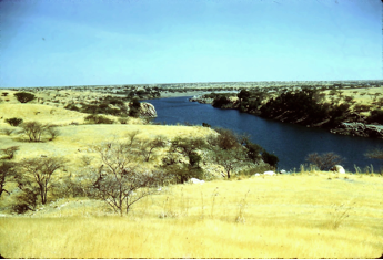 Birding Sudan: Sudan, Sahel zone - grassland & scrub, R. Atbara, E ...