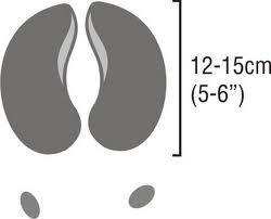 Binxi @ Sondela Hospitality & Nature Conservation: Identify and monitor ...
