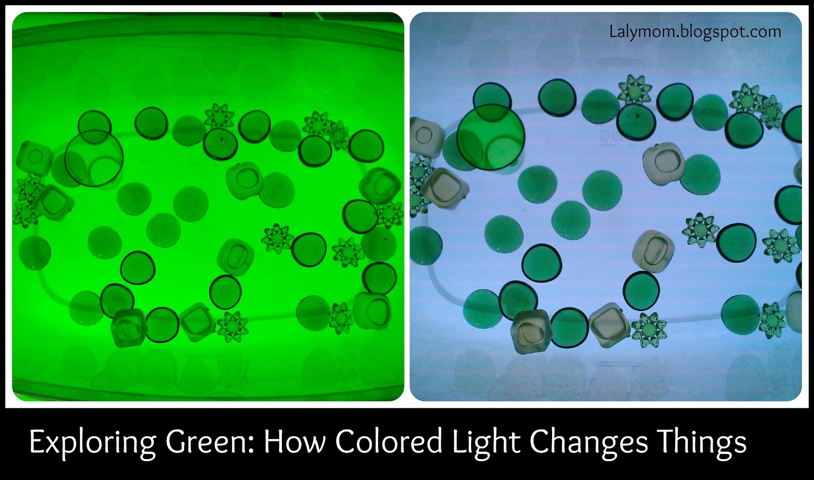 Exploring Green - LalyMom