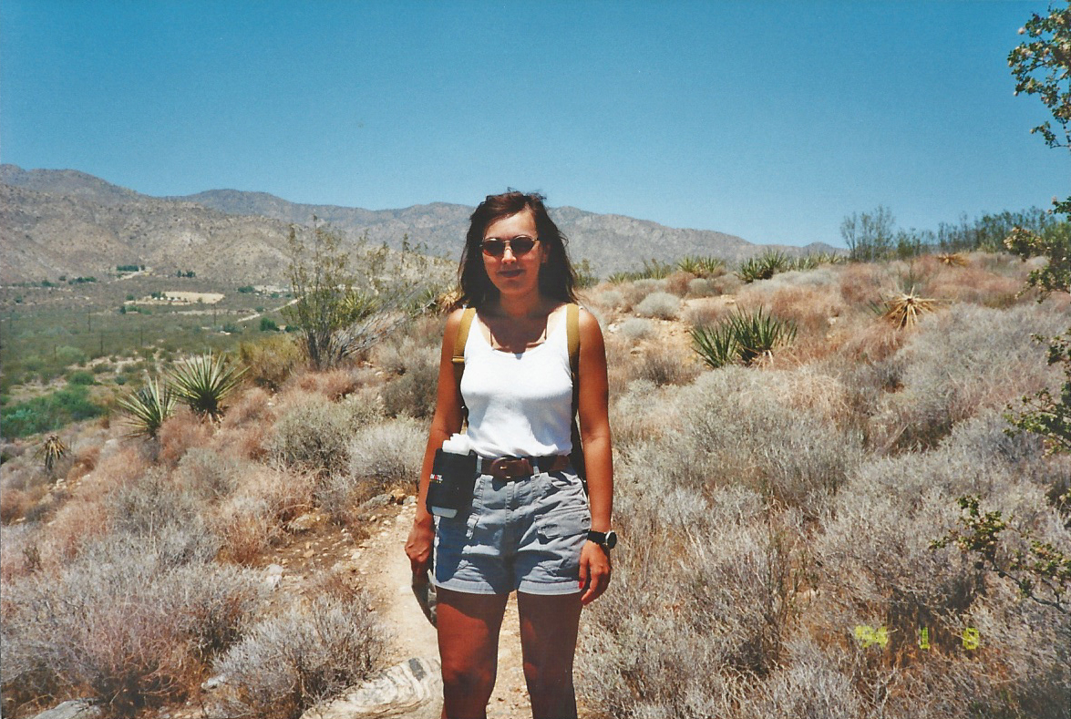 Western Sojourns: Travels with Camissonia: BIG MORONGO CANYON PRESERVE ...