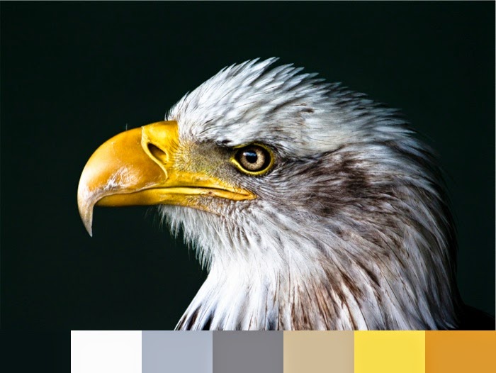 Colour Collaborative: March