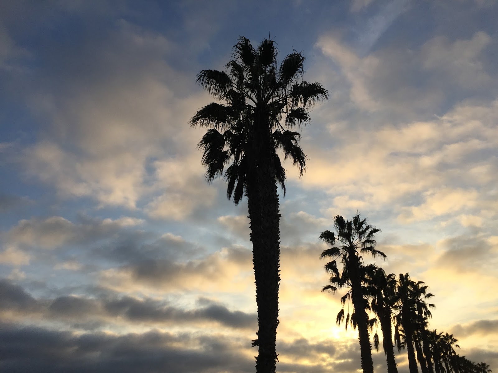 Living the Austinian Dream