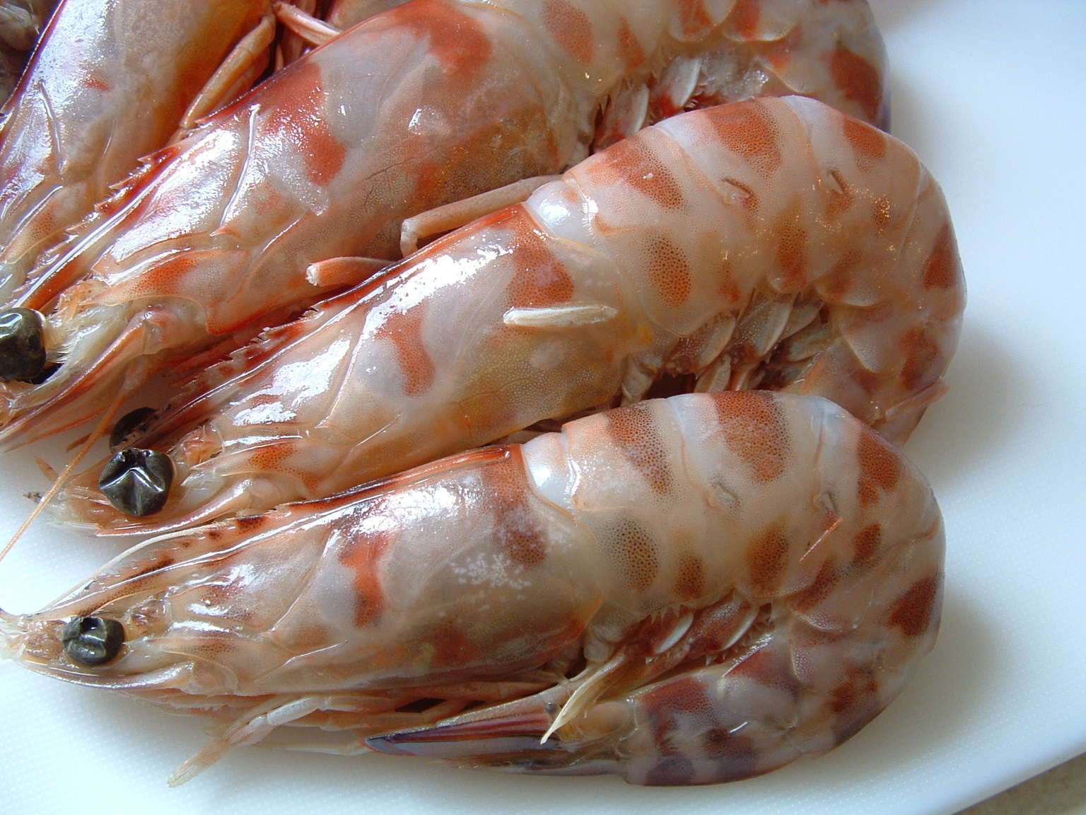 A London Fishmonger: Wild Mediterranean Prawns - Rosso, Rosa & Mazzancolle