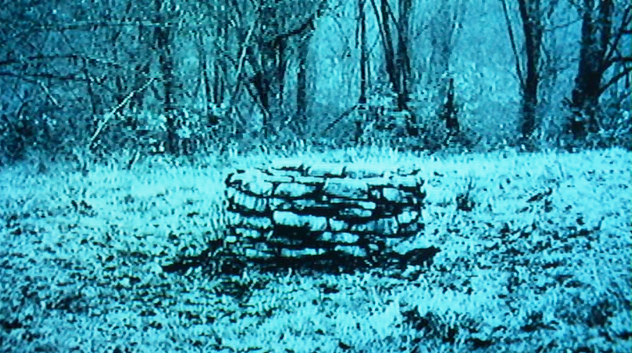 John Kenneth Muir's Reflections on Cult Movies and Classic TV: Cult ...