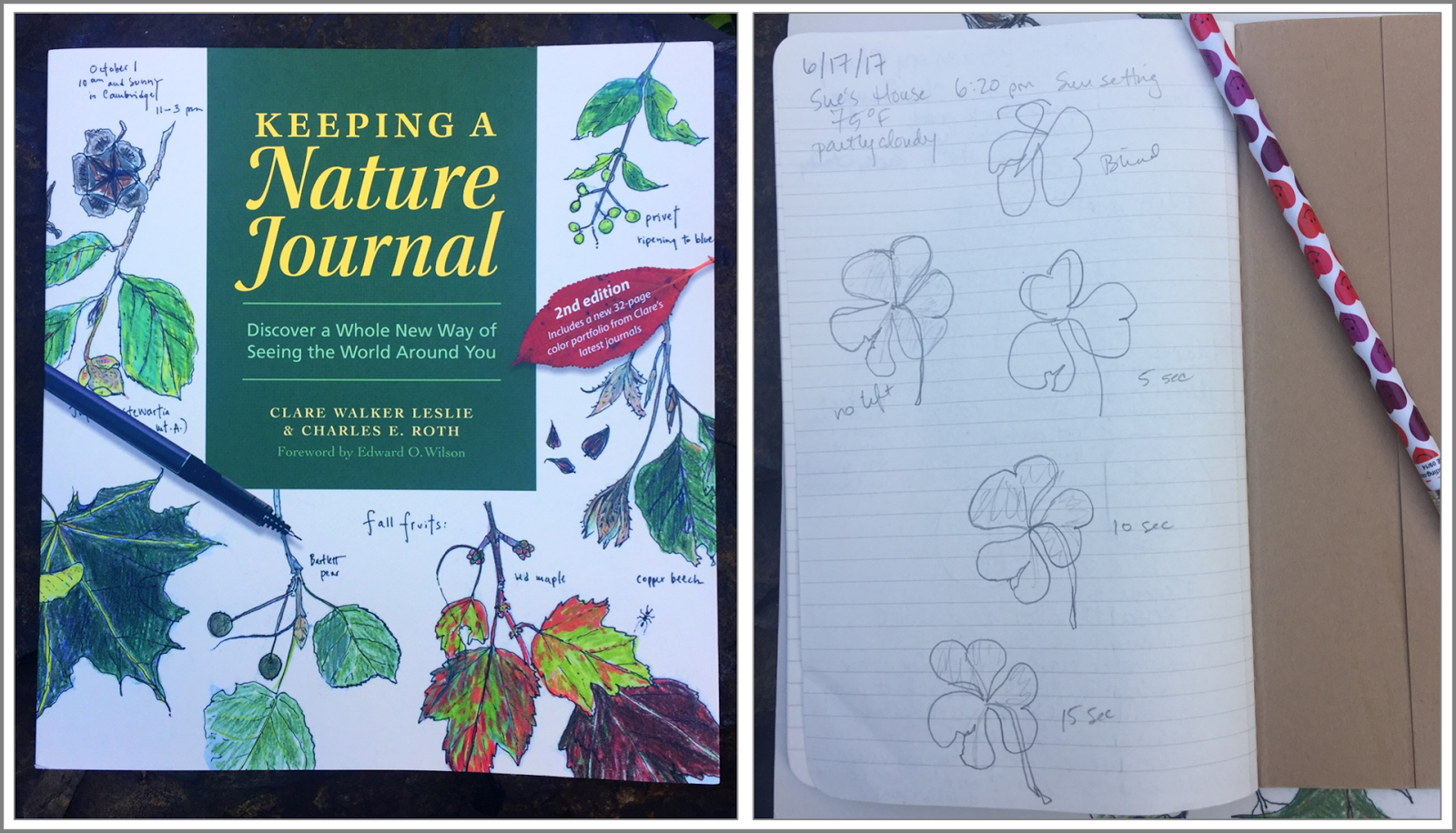 Biomimicry Chicago: I got outside!