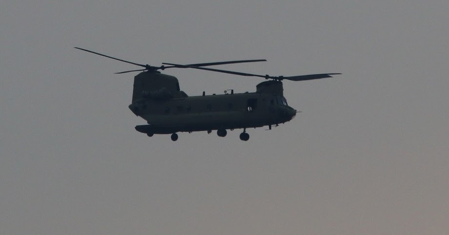 Michigan Exposures: A Flying Chinook