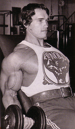 Fase concéntrica y excéntrica en musculación: ¿qué es más eficaz para ...