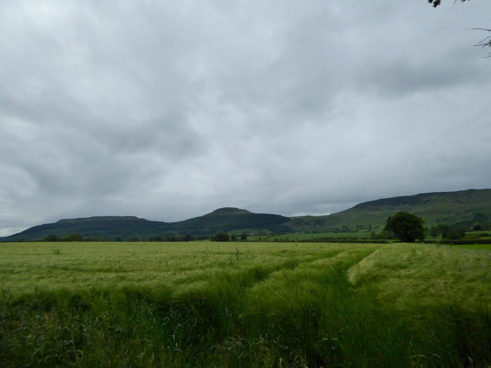 Jimmy Goanna Rides Again: Day 16: Dromonby Bridge to Blakely Ridge