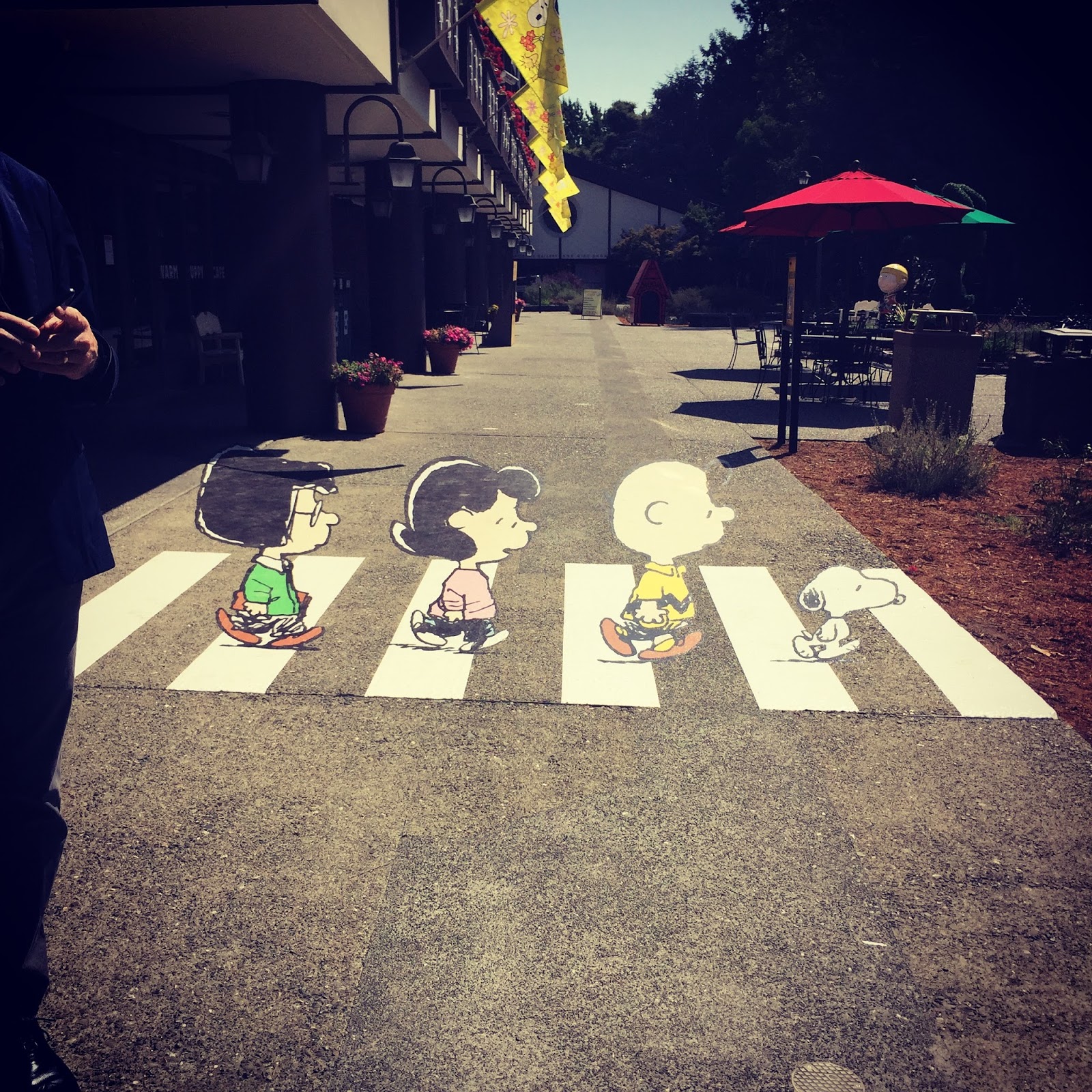 Visting the Charles M. Schulz Museum