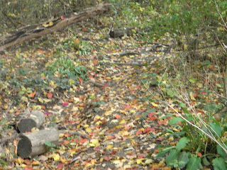 Fall Day October 8th, 2012