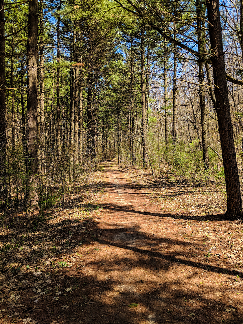 Hiking The Black Hawk Unit of the Lower Wisconsin Riverway