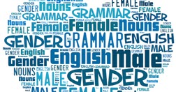 NOUN FEMININE AND DIMINUTIVE FORMS ~ Morphology