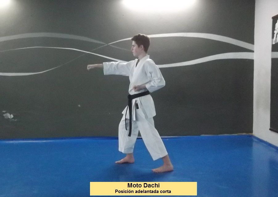 KARATE SHITO RYU ASTURIAS: Posiciones de Karate (Tachi Kata).