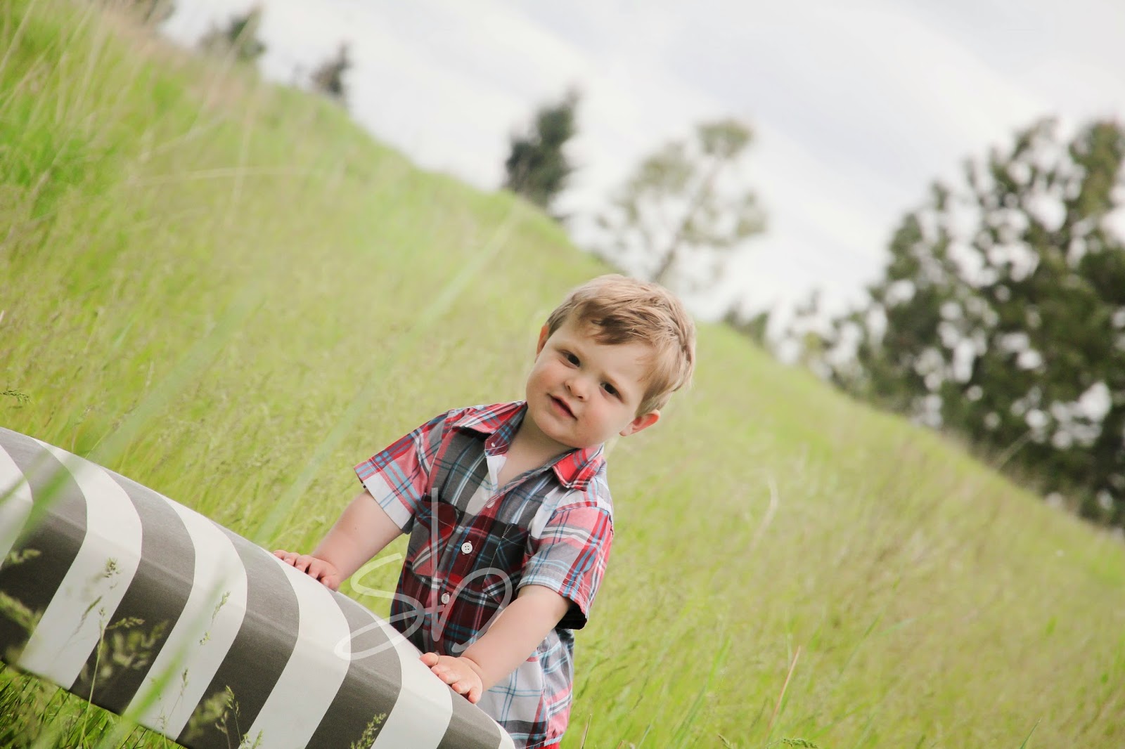 Sugarbee Photography : the dallman boys