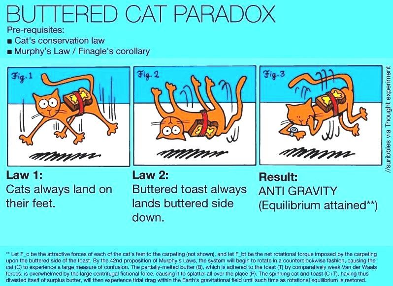 Buttered Cat Paradox - Anti Gravity Cat
