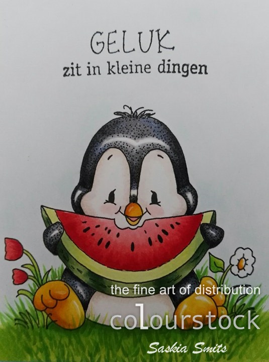 Cards made by Sas: Penguin Loves Watermelon