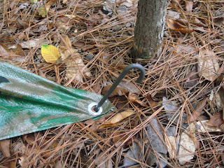 Sensible Survival: The Plow Point or Diamond Fly Tarp Set-Up
